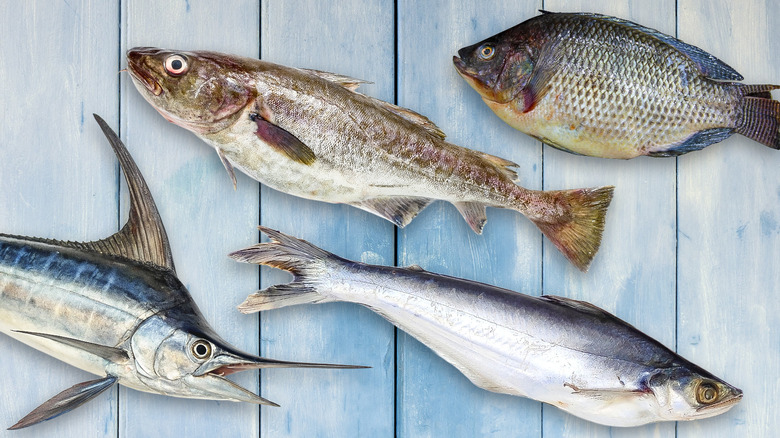 8 Types Of White Fish Worth Buying, And 2 You Should Avoid, According ...