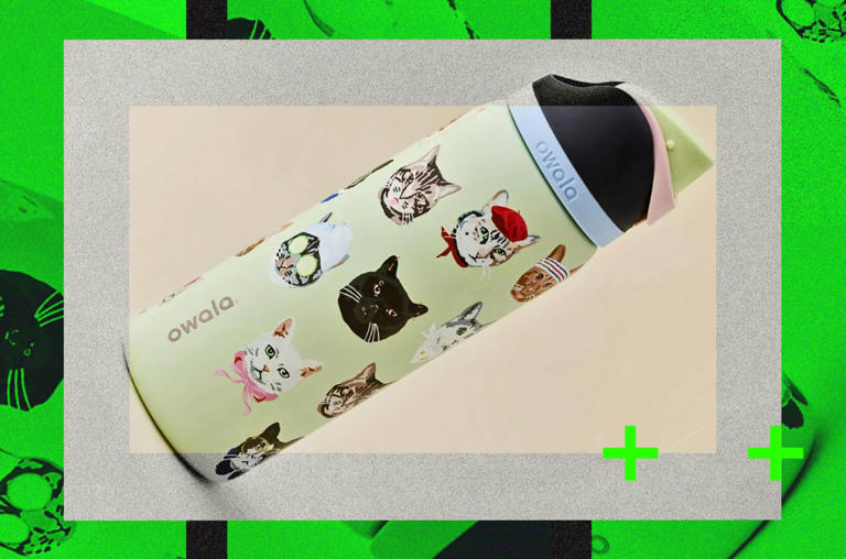 Owala's Kitty Cat Collage Water Bottle is Back in Stock Exclusively at ...