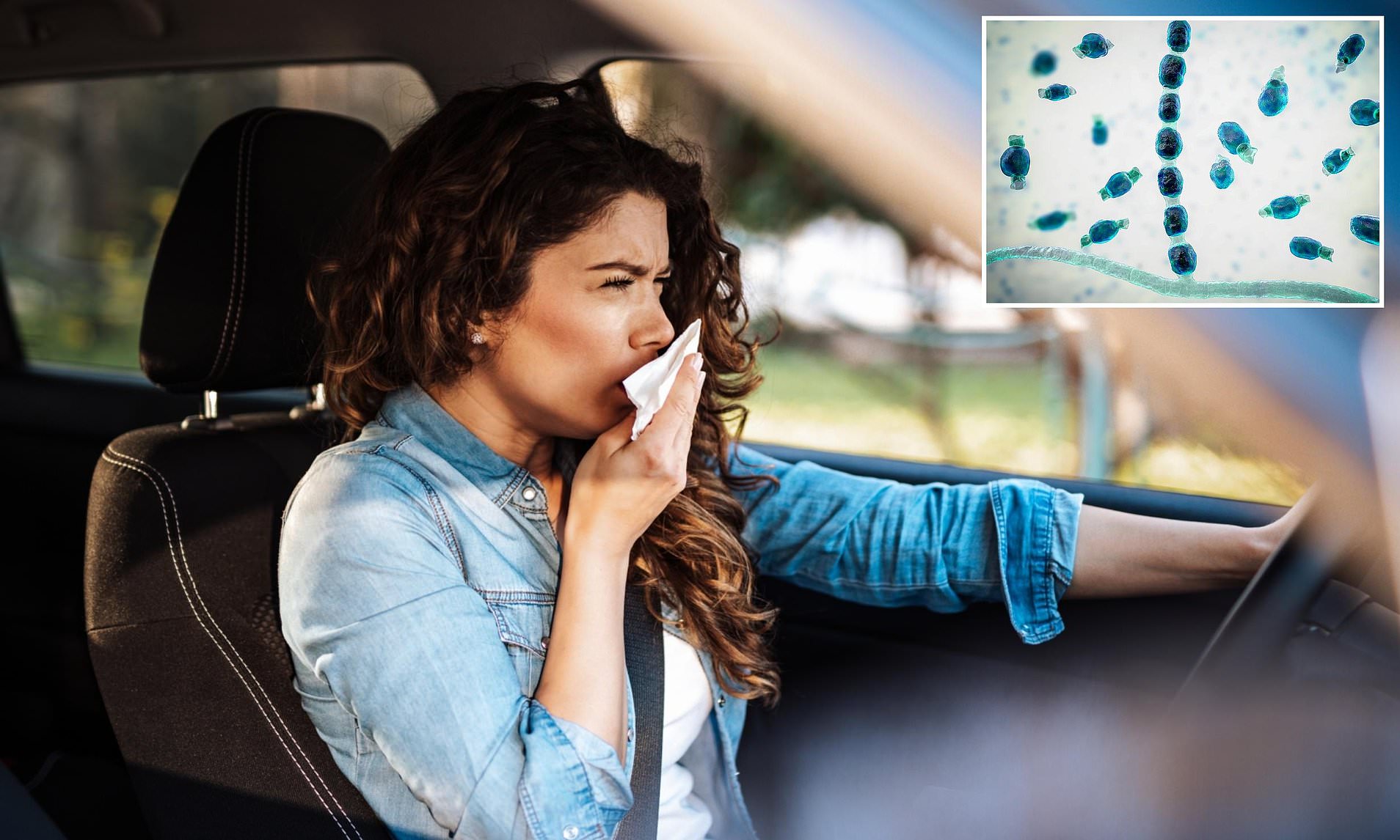 Experts warn of new 'epidemic' as deadly fungus spreads faster than ...