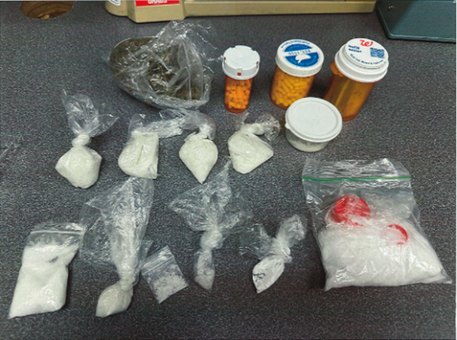 Two arrested after Champaign Co. Drug Bust