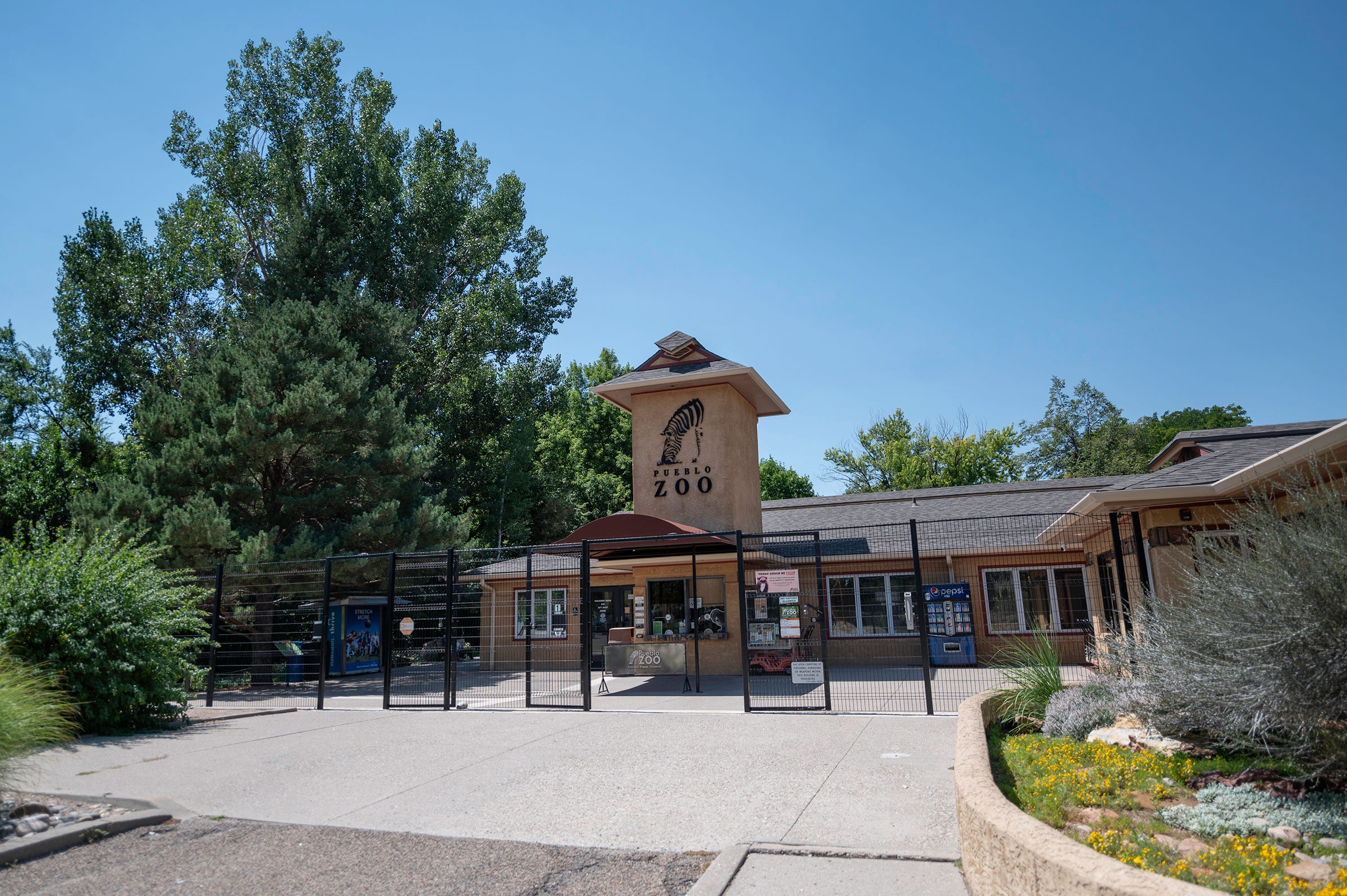 Facing a funding crisis, the Pueblo Zoo could go 'extinct' without more ...