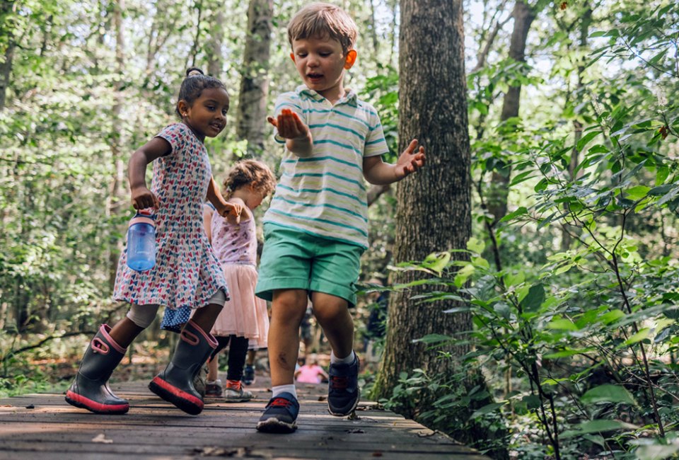 Pirate Night, Carnivals, and More Fun Things To Do in CT This Weekend