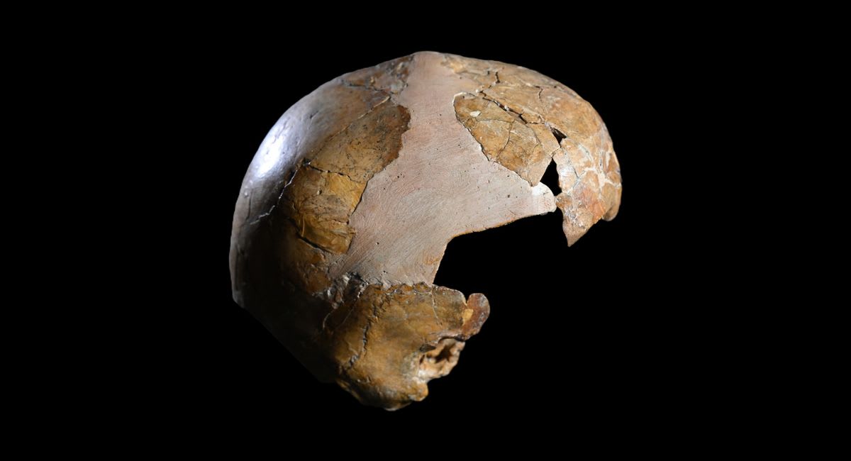 Neanderthals And Homo Sapiens Got It On 100,000 Years Earlier Than We ...