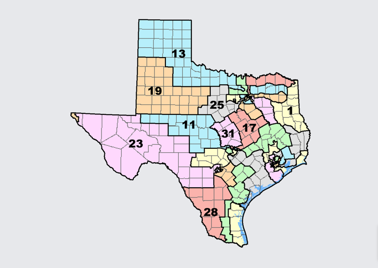 Texas House initally approves redistricted congressional map favoring Republicans