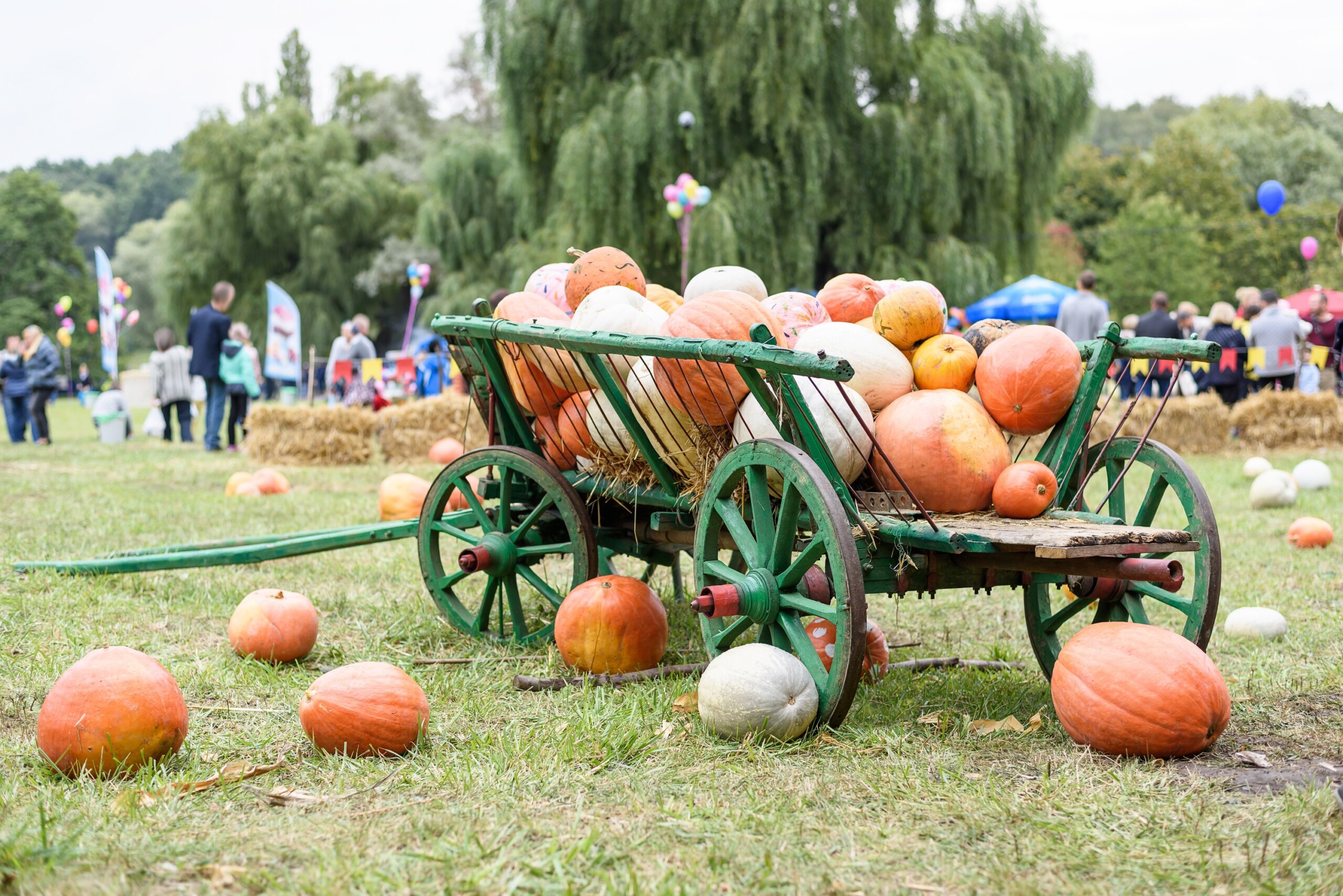 15 Must-Visit Fall Festivals Across America