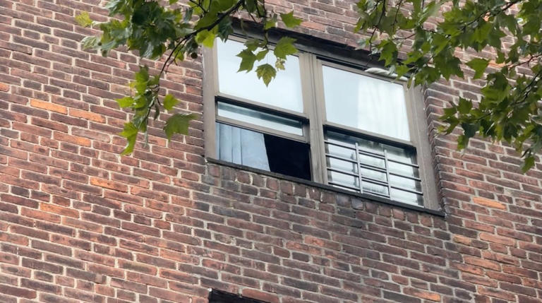Boy, 5, miraculously survives plummet from 5th-story window of NYC ...