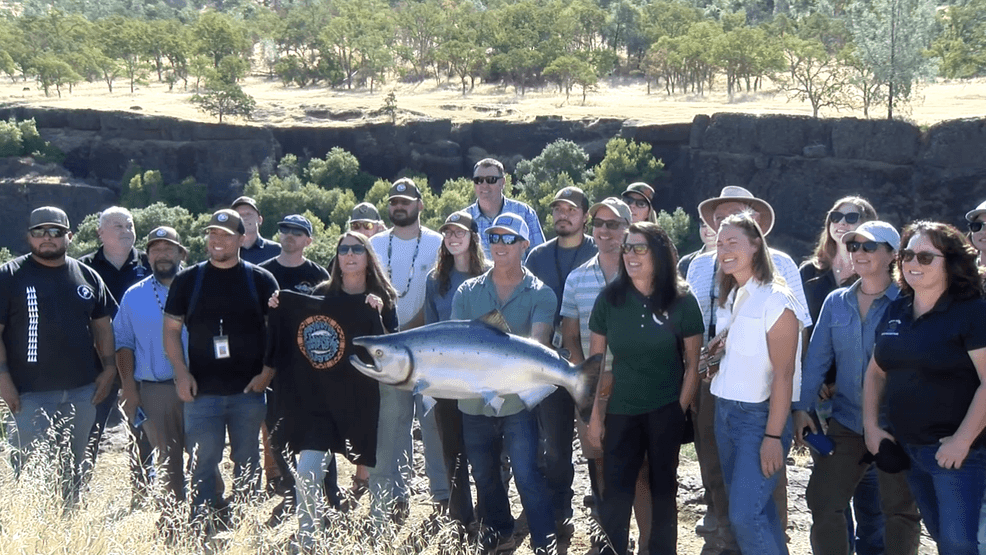 Salmon restoration project begins at Big Chico Creek