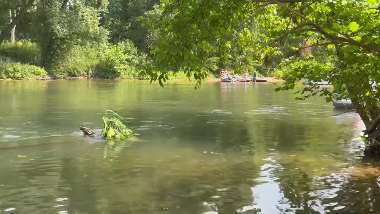 Prankster pretending to be a bush startles raft on Niangua River ...