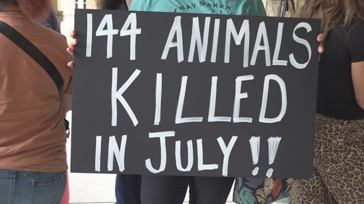 Hundreds of pets euthanized at Bell County Animal Shelter sparks ...