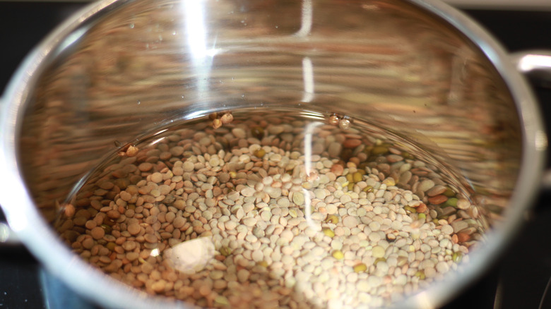 Biggest Mistakes Everyone Makes With Lentils