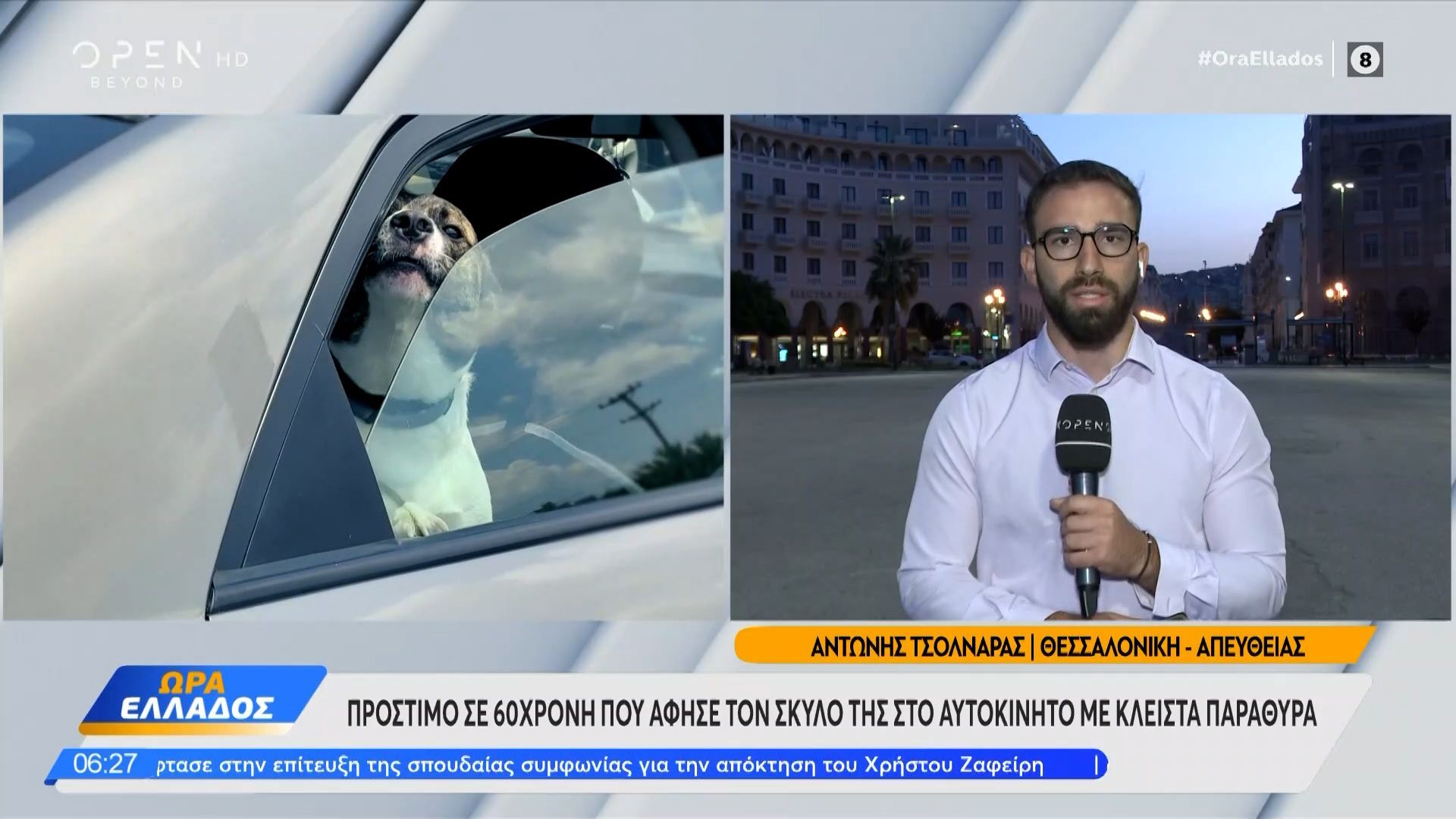 Θεσσαλονίκη: Πρόστιμο για 60χρονη που άφησε τον σκύλο της στο ...