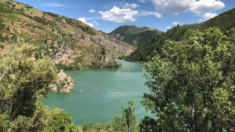 California imposes historic permanent water restrictions