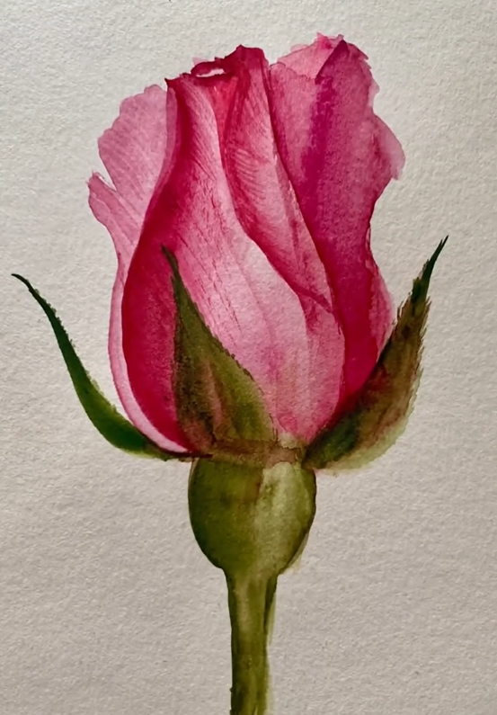 Overcoming Watercolour Painting Struggles – Tips and Inspiration
