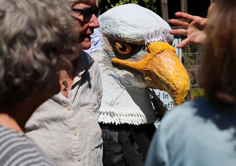 Photos | Artists Respond and Resist Together create giant puppets in ...