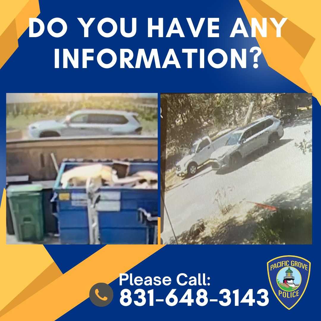 Pacific Grove police seek silver SUV in hit-and-run