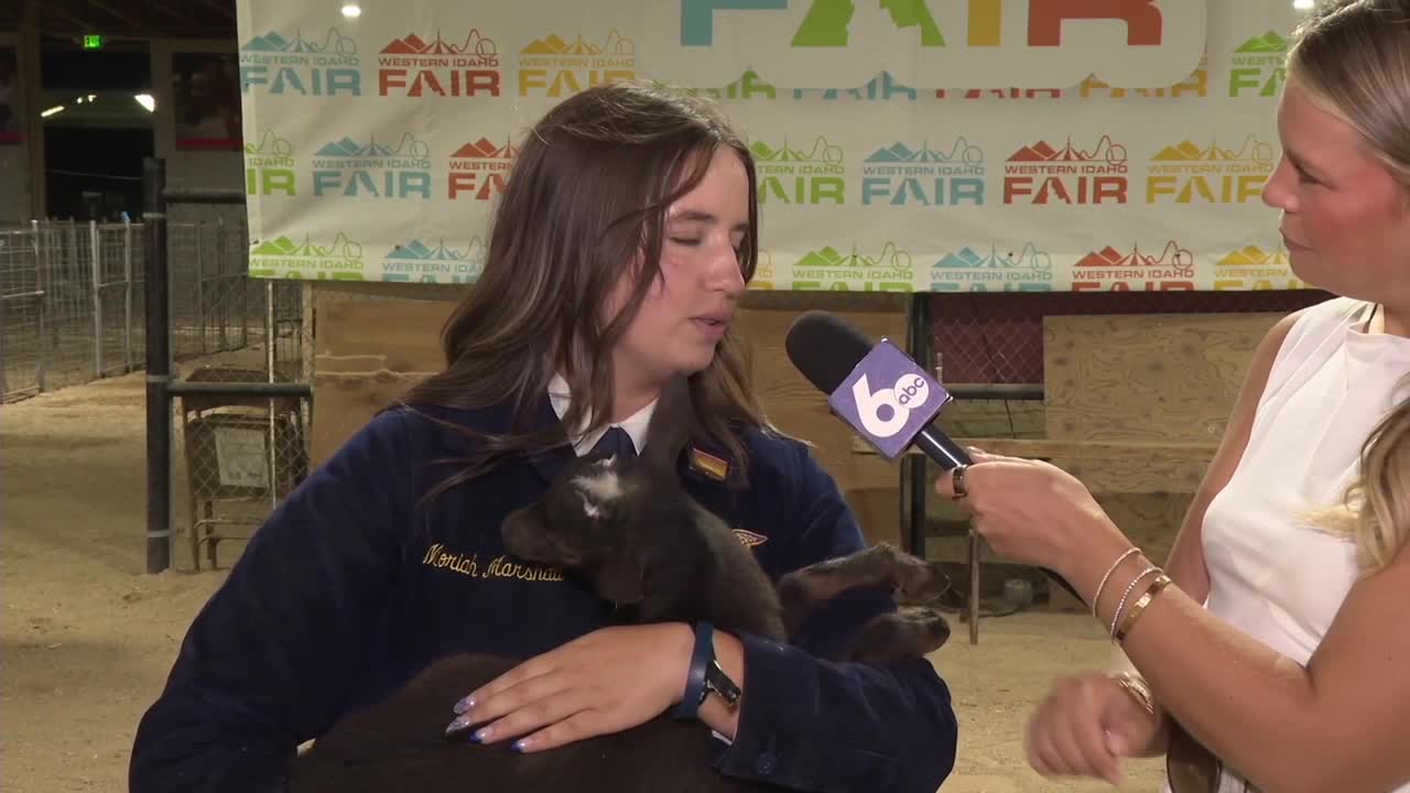 Showcasing livestock: Riley Shoemaker meets with this year's participants