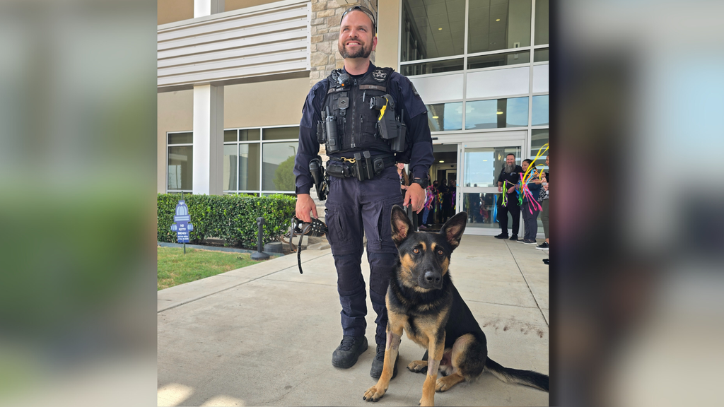 Dallas Police K-9 Max released from emergency vet after suffering heat ...