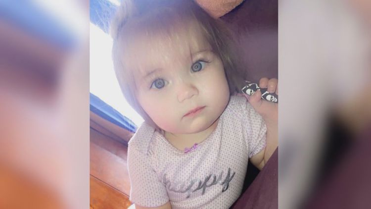 Bell County Commonwealth Attorney provides update on Elena Hembree case