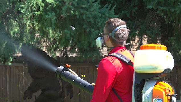 Moorhead residents speak out amid growing concerns over mosquito spraying
