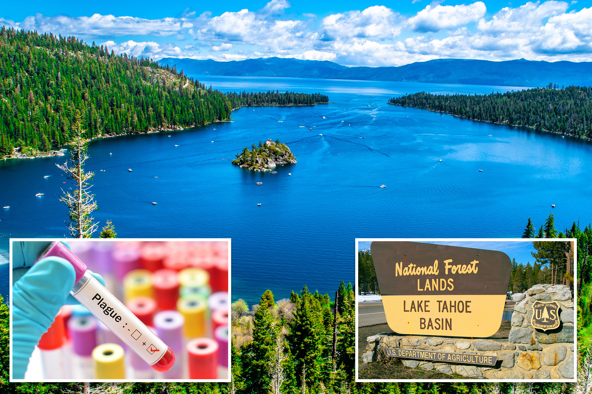 California resident tests positive for the plague after camping trip