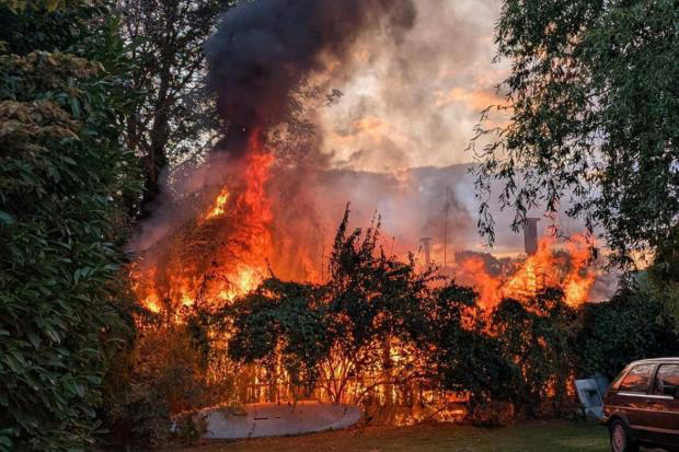 'Arson-hit' south Essex allotment in plea for help after fire 'started ...