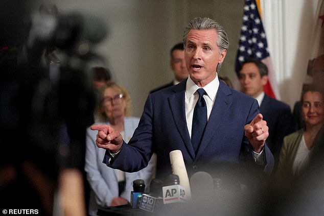 Dramatic moment Dem senator abruptly ends call with Newsom after being ...