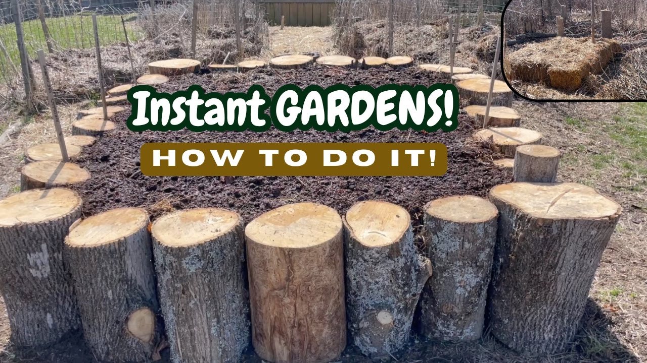 Instant Gardens Made Easy – Here's How