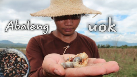 Do You Want to Taste It? Abaleng, Tateg & Uok – Catch & Cook Ilocano Style
