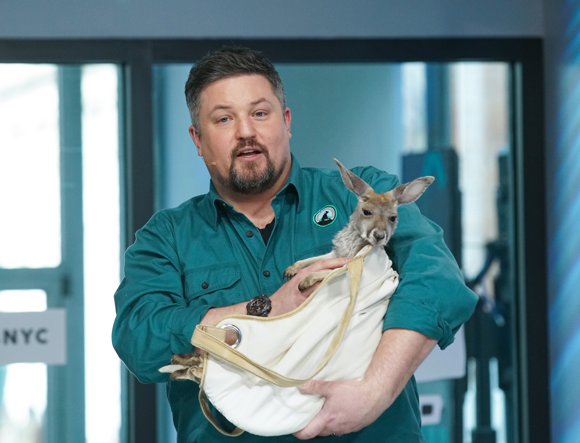 Animals you've never seen as babies