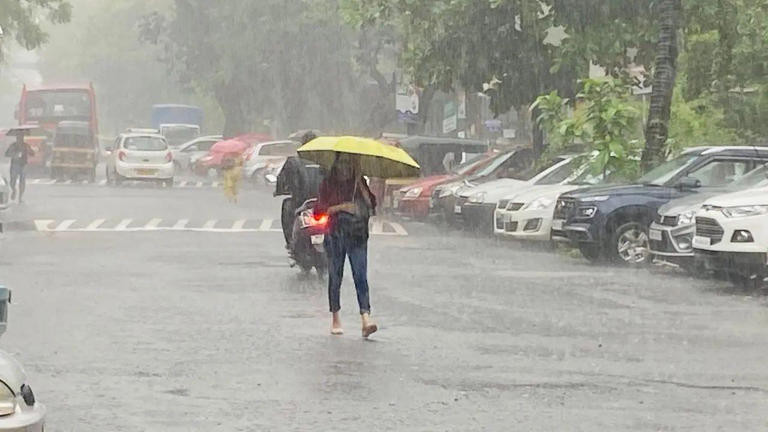 Weather update: IMD sounds yellow alert in Thane, Mumbai rain eases