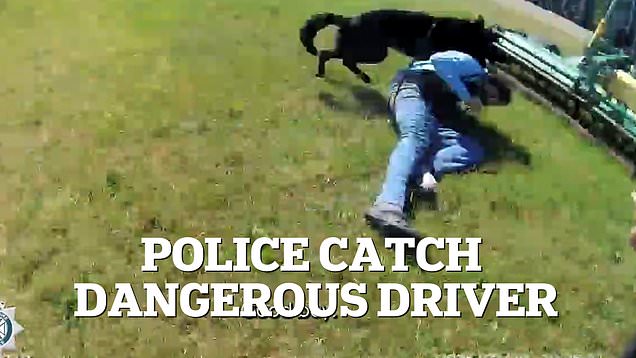 Moment police dog clamps down and bites dangerous driver