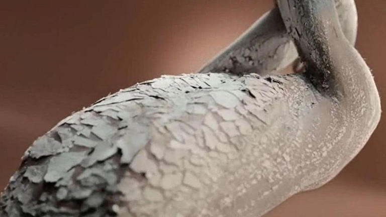 Why has the UK banned this Sanex shower gel ad?