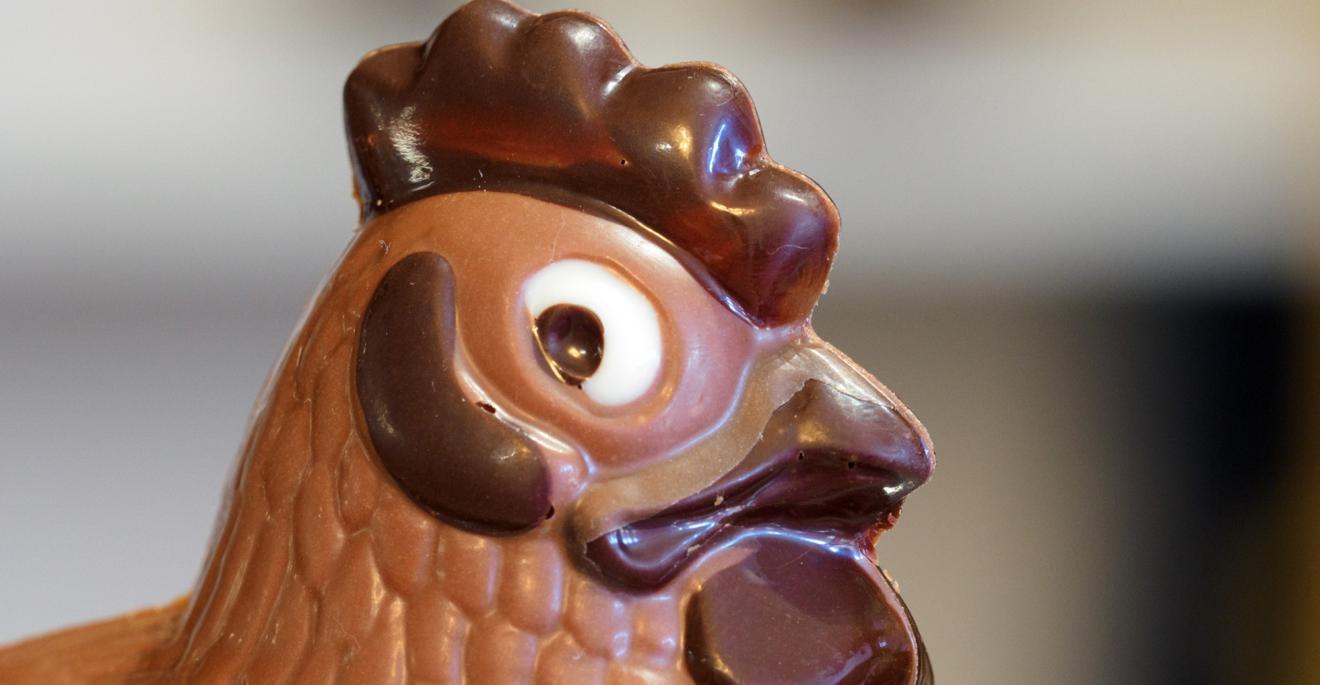 Scientists manipulate microbes to fine-tune chocolate flavor