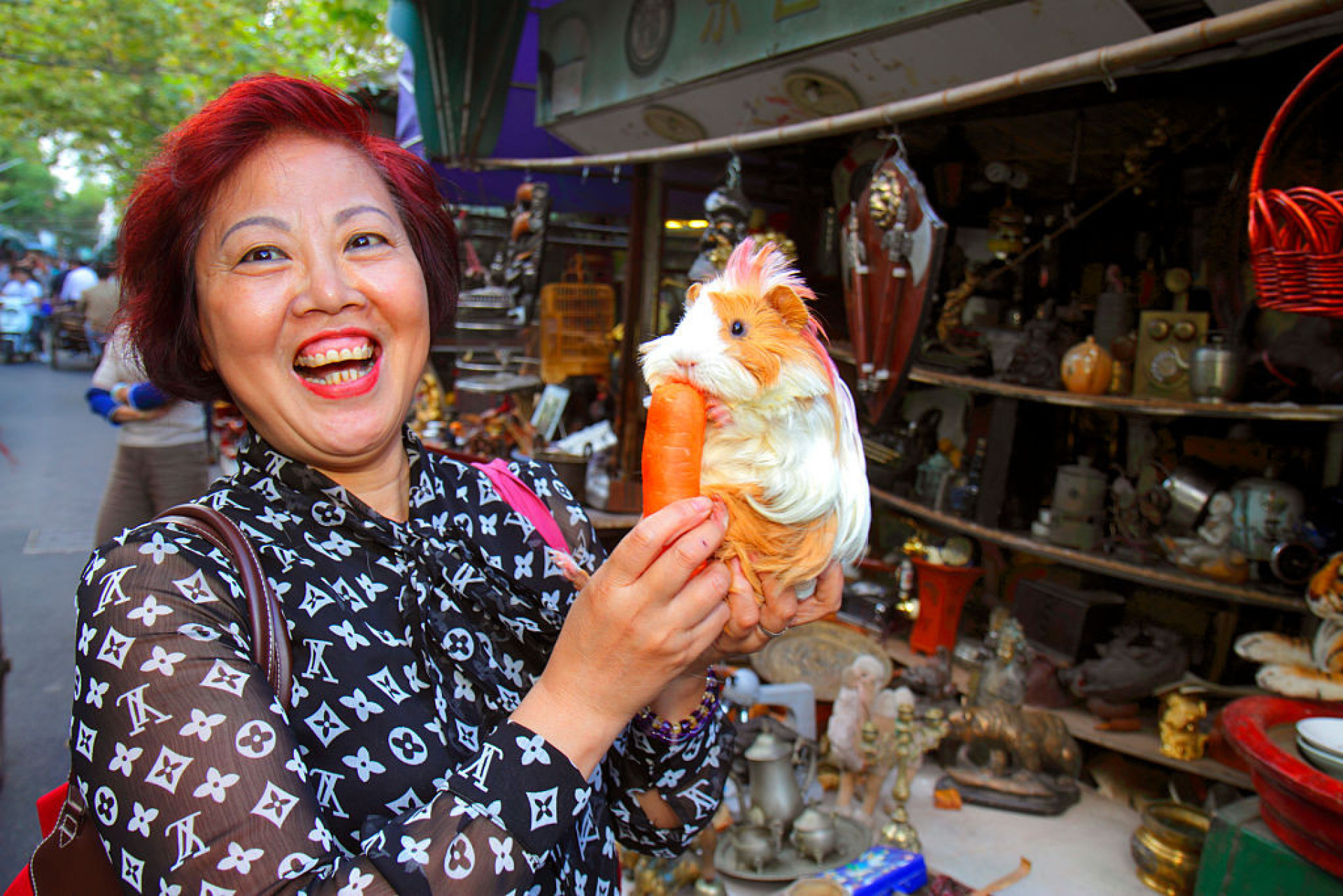 These foods could help reverse climate change