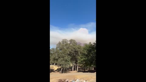 US: Coyote Fire Spreads in El Dorado County, California
