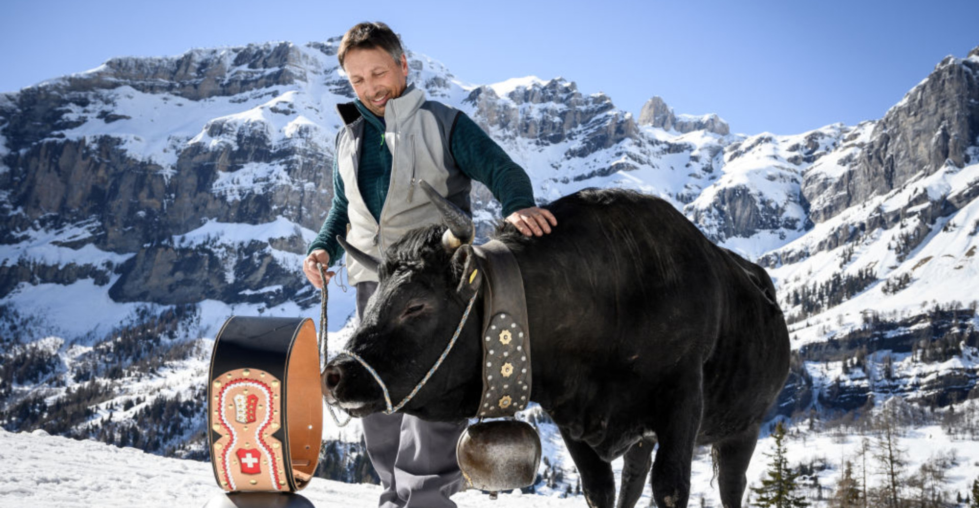 Nations leading in animal protection laws