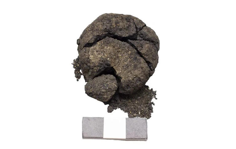 Archaeologists in Turkey discovered the remains of the world’s oldest ...