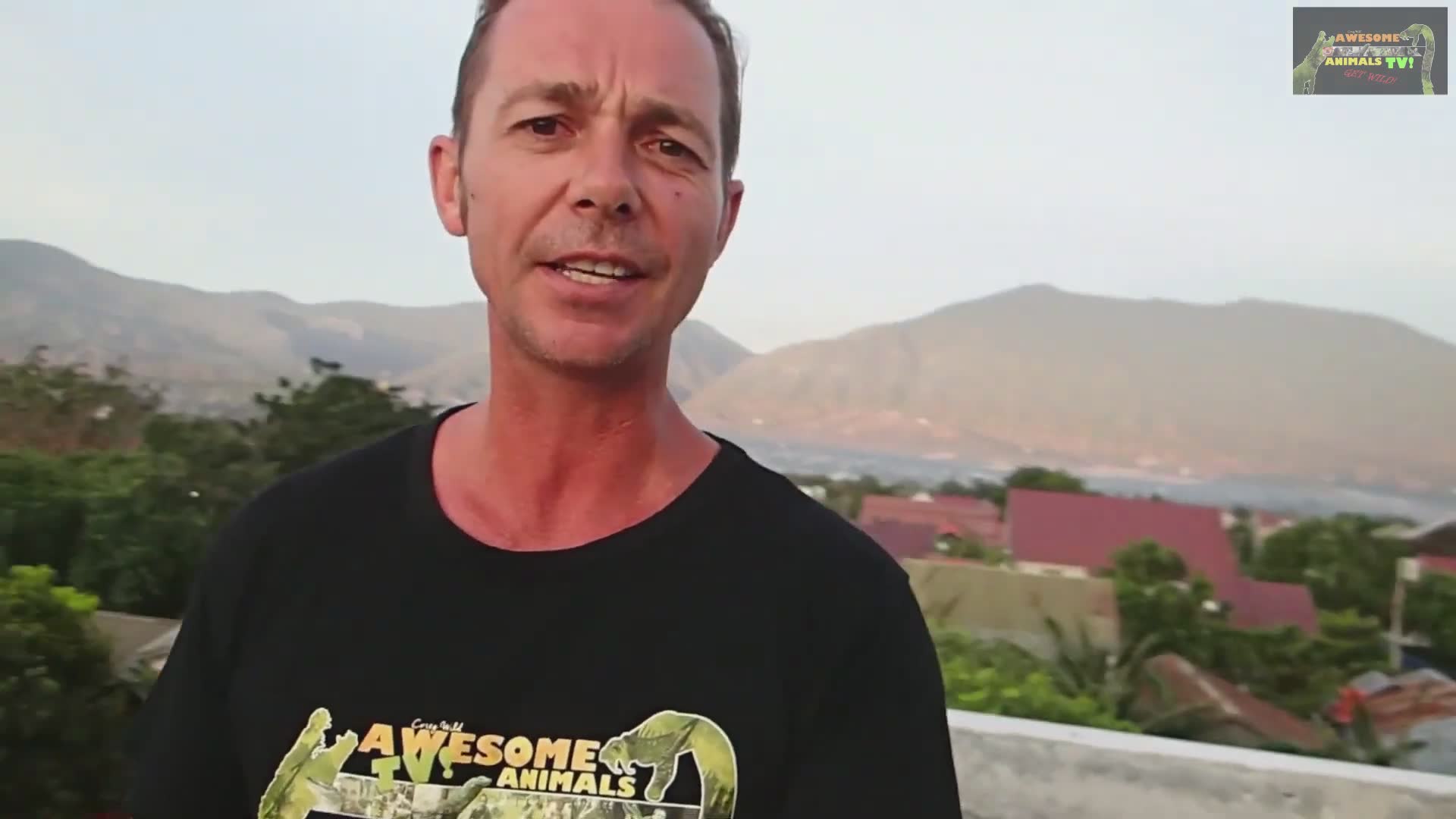 Crazy monkeys | Black crested macaque monkey magic and funny animals ...