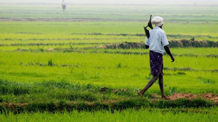Bihar govt launches campaign to rectify land records on Bihar Bhumi Portal