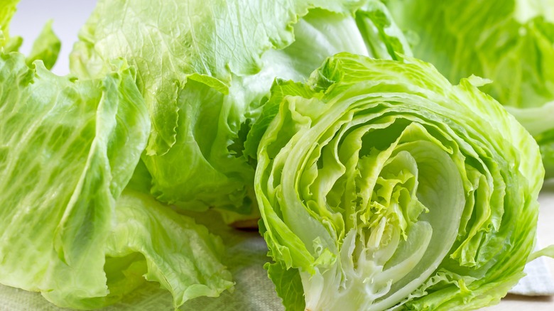 24 Types Of Lettuce For Salads, Sandwiches, And Beyond