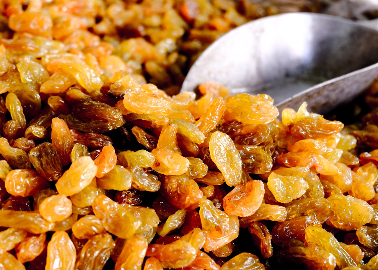10 'Treats' That Are Toxic for Dogs (Yet Many Owners Give Them Anyway)