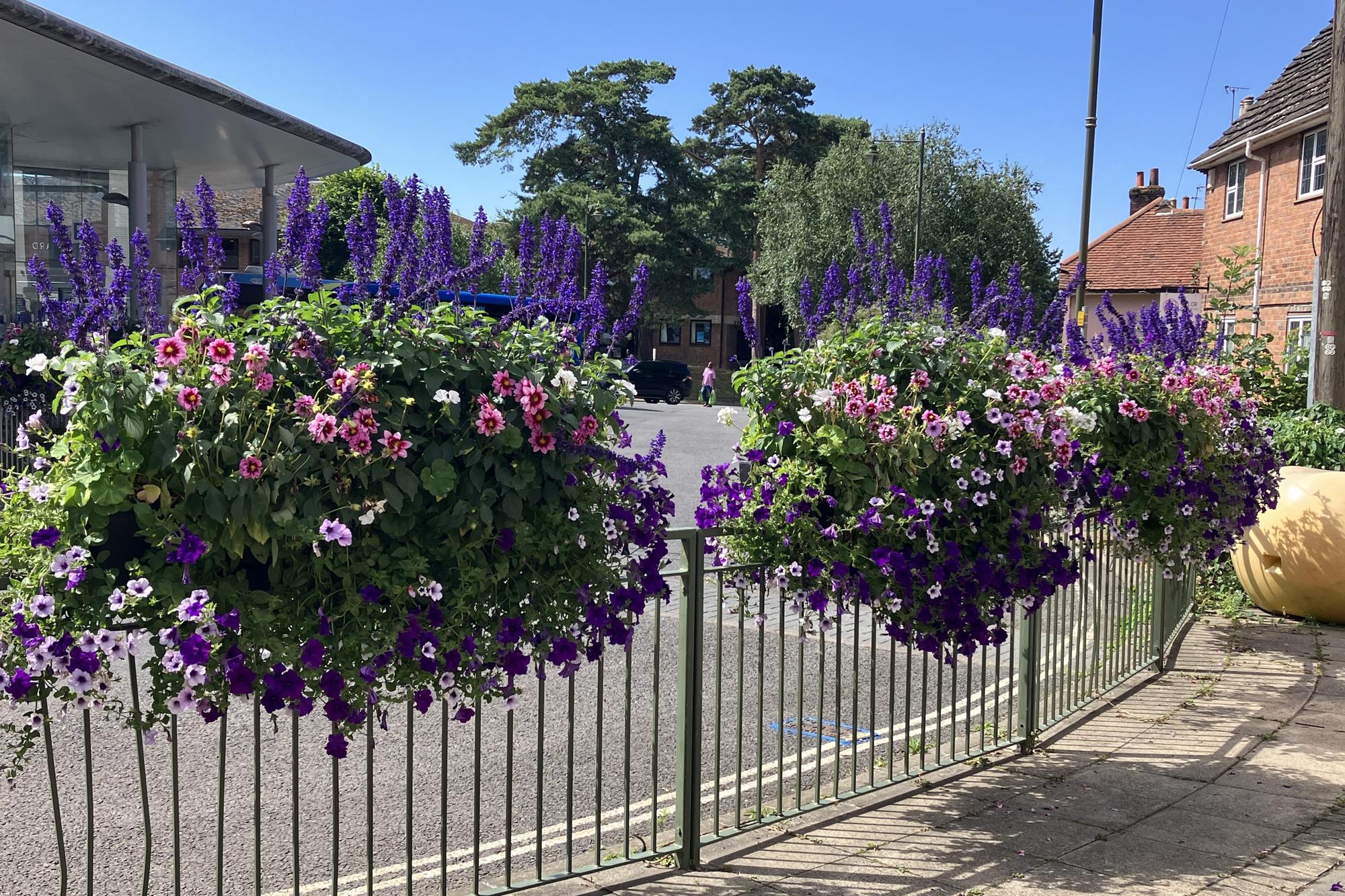 Why Horsham is home to some of Britain's keenest gardeners