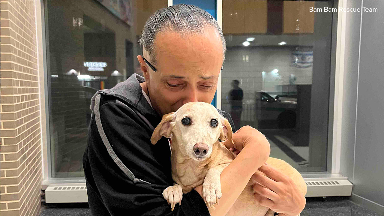 Dog stolen from blind owner in Logan Square returned to owner, Chicago ...