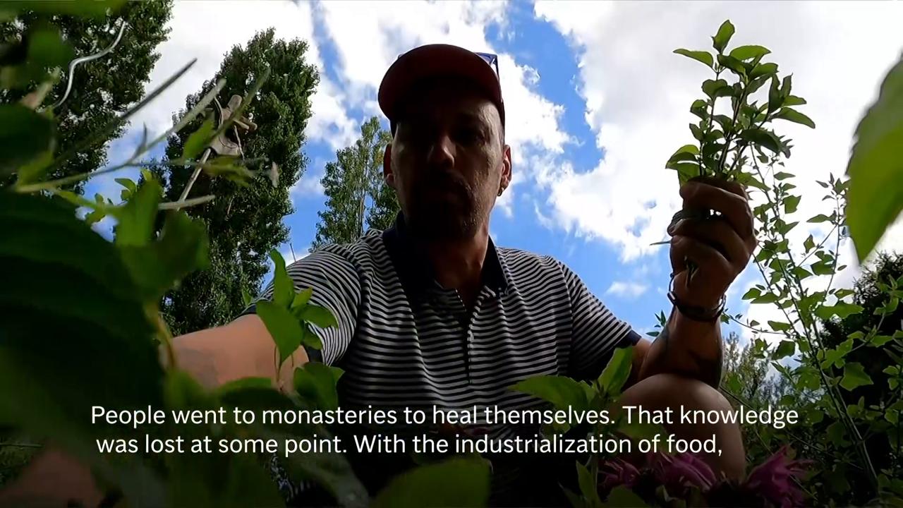 A Berlin garden of flavorsome herbs revives a monastic health tradition ...