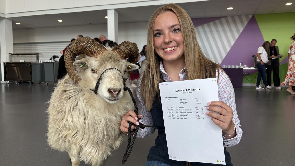 Shear delight for teenager who took sheep to collect GCSE results