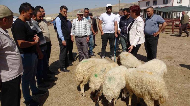 Van Hayvan Pazarı yeniden hizmete başladı