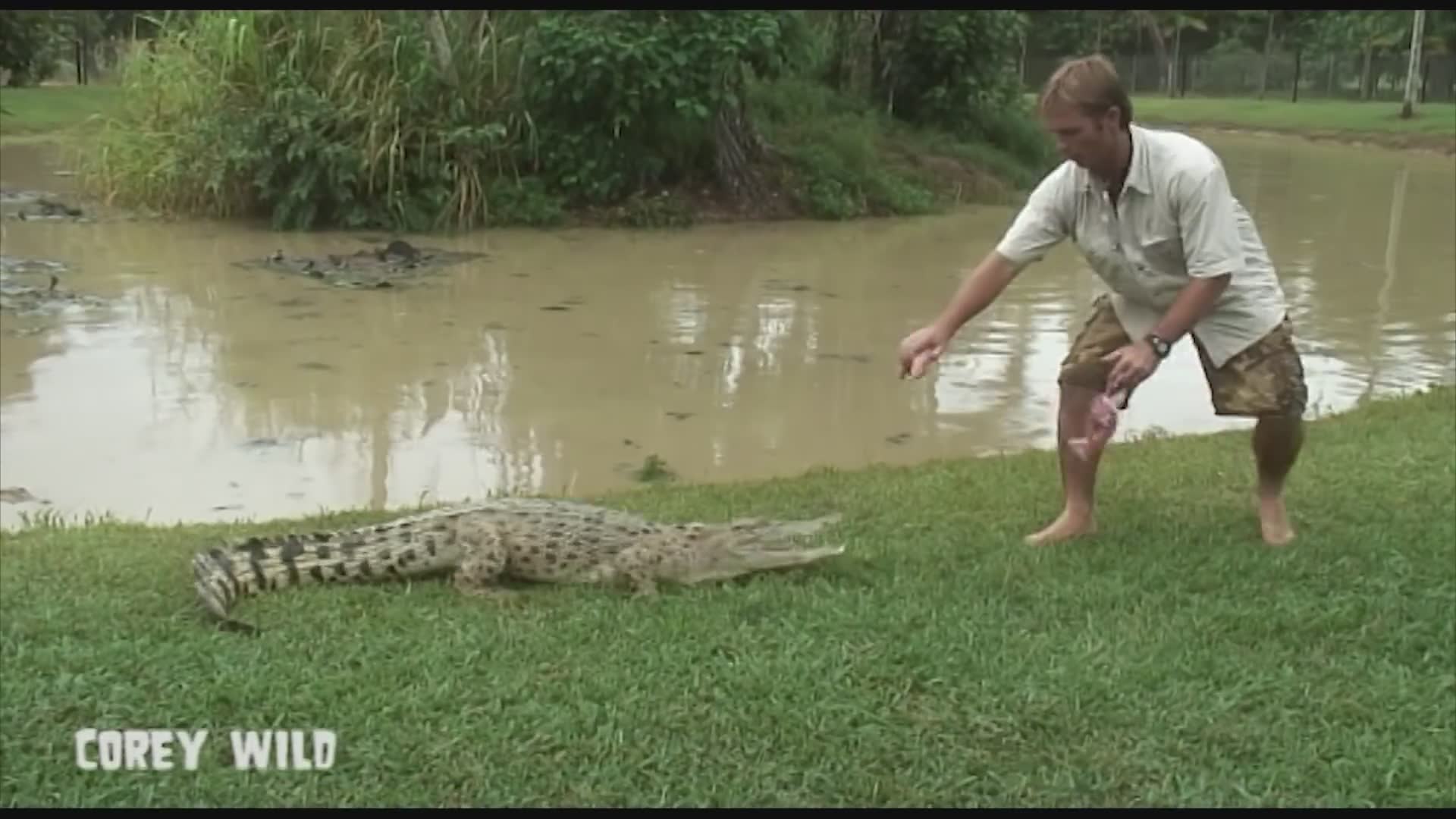 Crocodile vs Aussie dude | 18 crocodile attacks with biggest crocodile