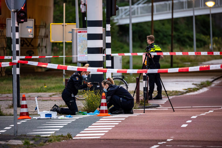 Dit weten we tot nu toe over de fatale aanval op Lisa (17) uit Abcoude