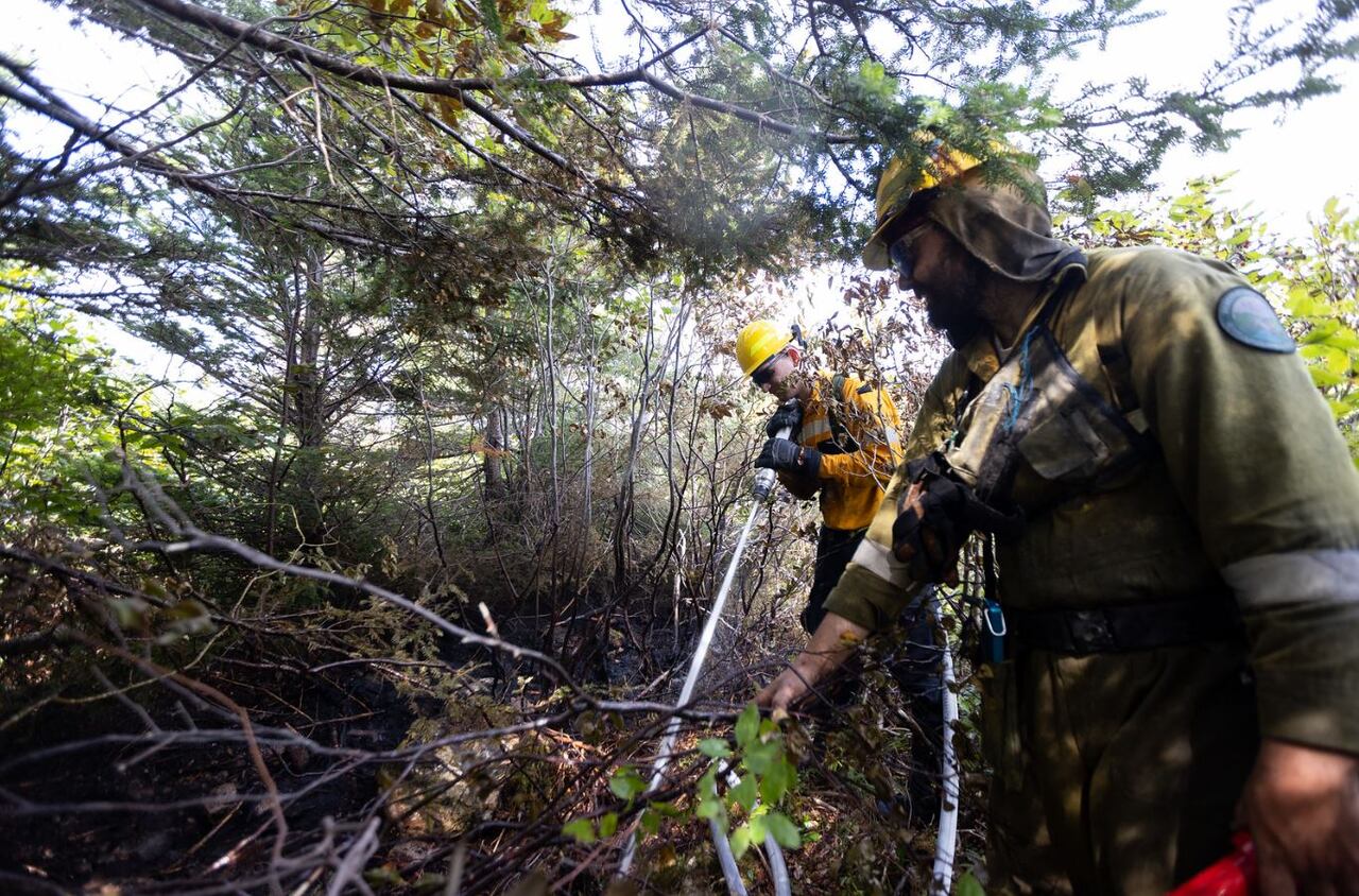 'We had a good day yesterday': No fire growth in Conception Bay North ...