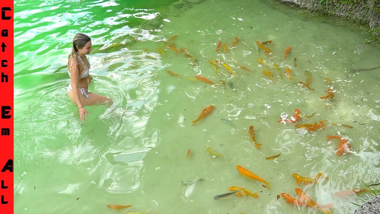 Hidden $1,000,000 Exotic Fish Pond You Can Actually Swim In